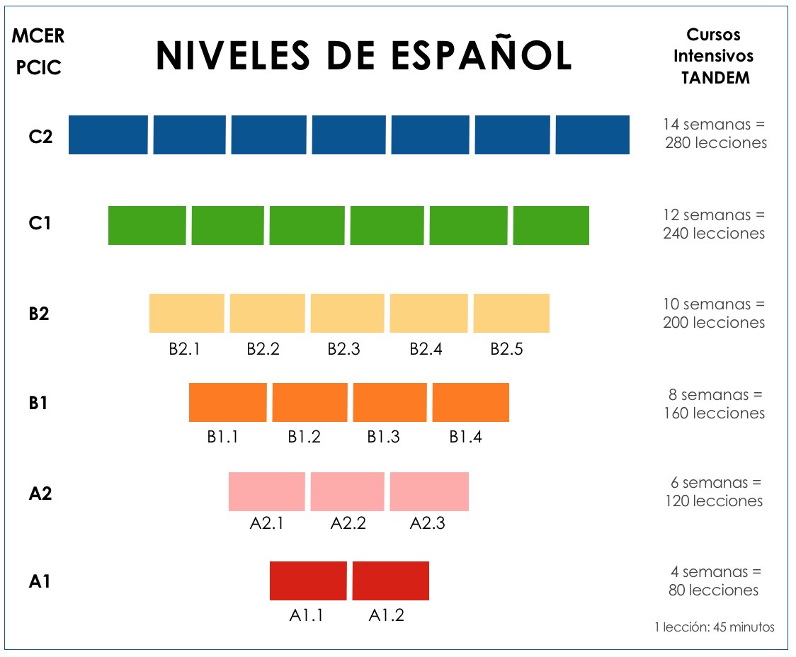 TANDEM San Sebastián - La escuela Tandem